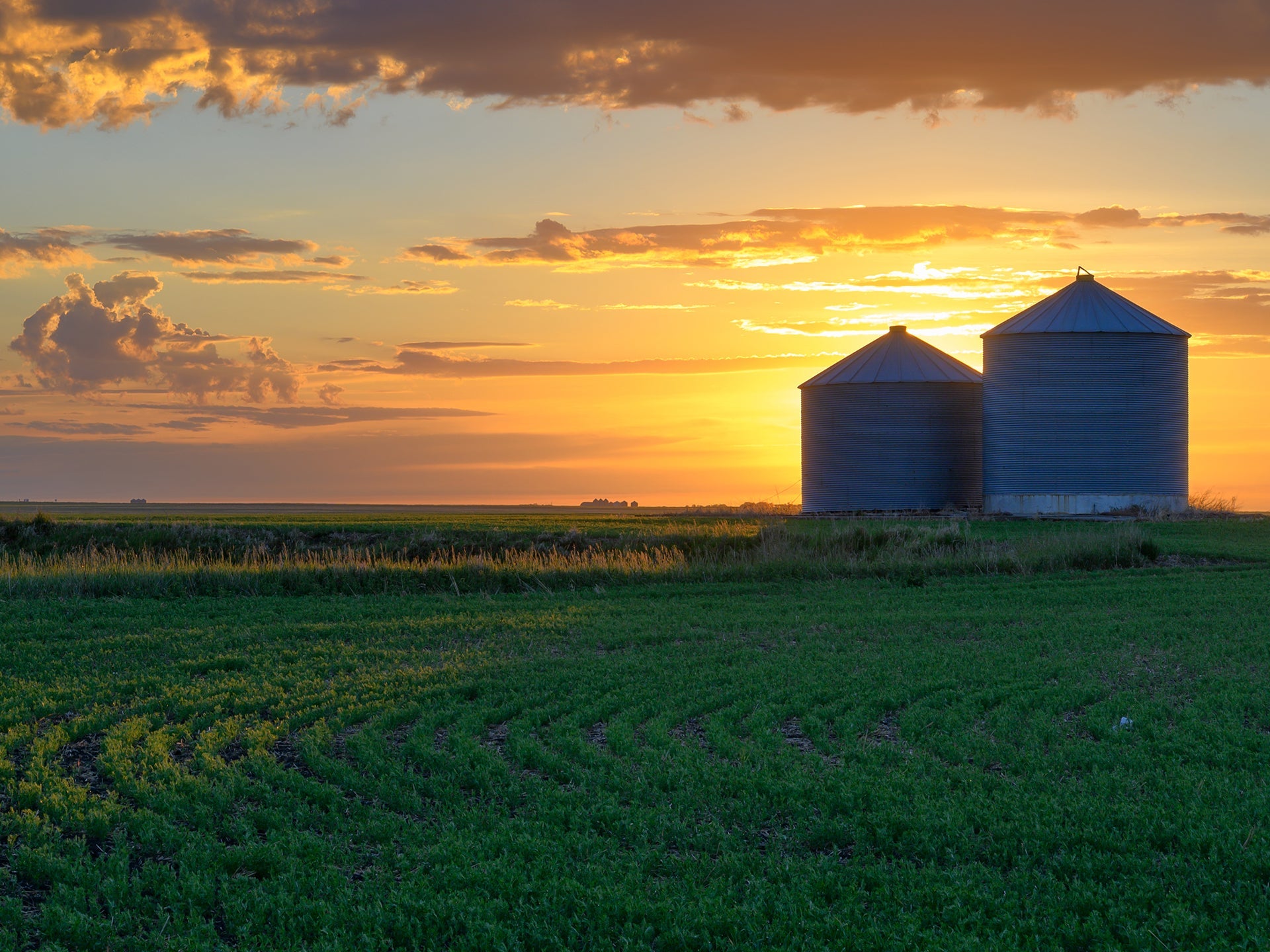 The Prairies Collection – Northern Icons